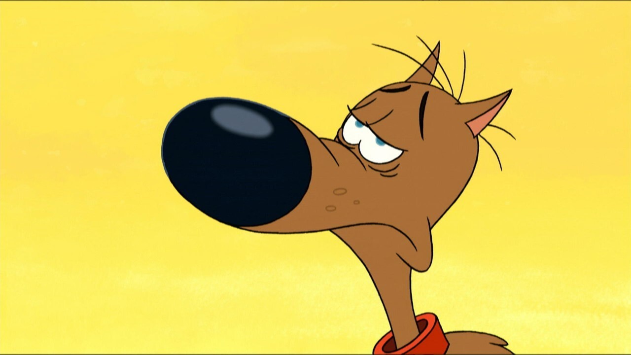 Rantanplan - S1 - EP2 - Poney club | Télé-Québec