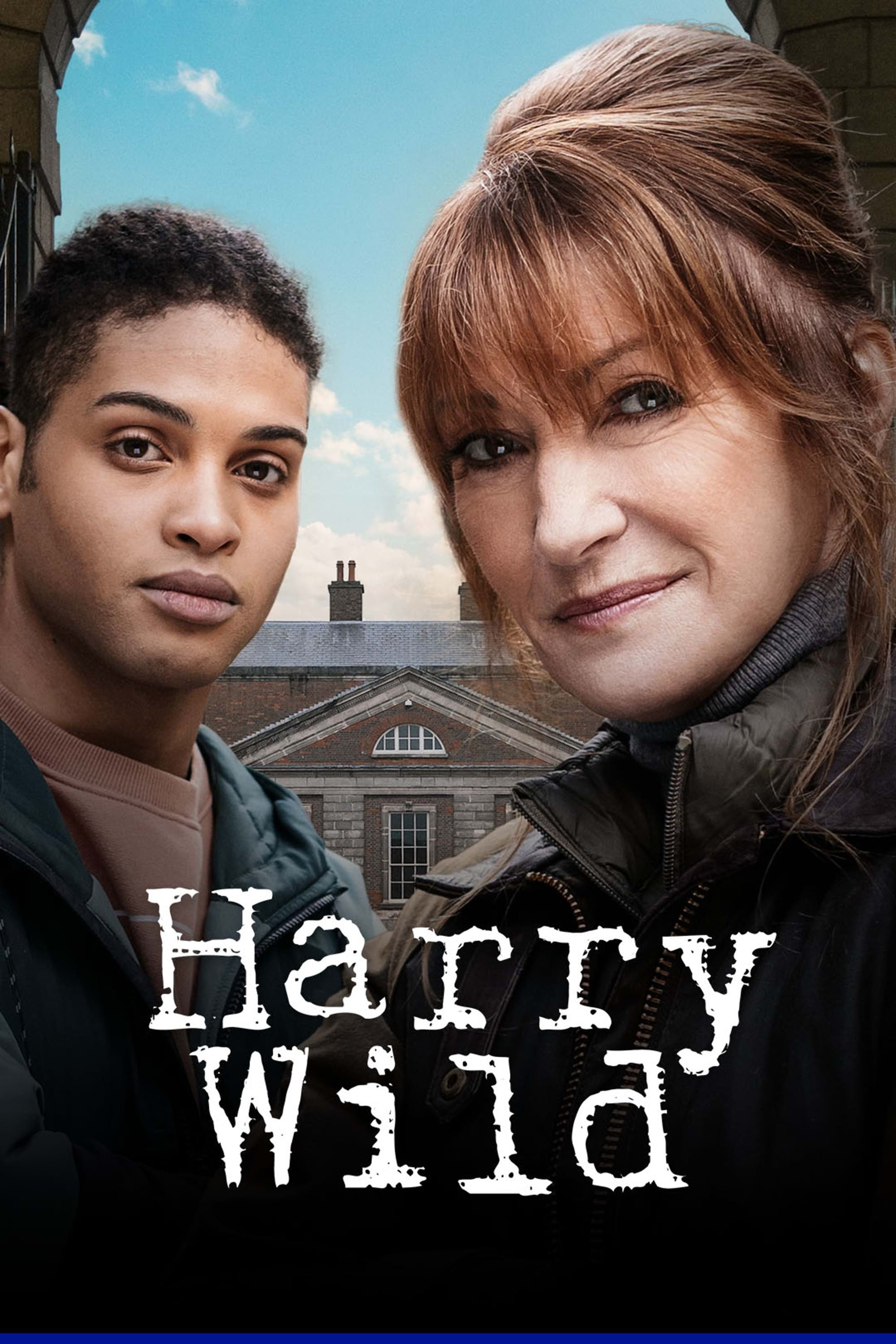 Harry Wild - Saison 2 | Télé-Québec