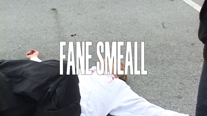 Sk8 Skates — Fane Smeall - Stone Cold | the den - skateboard videos